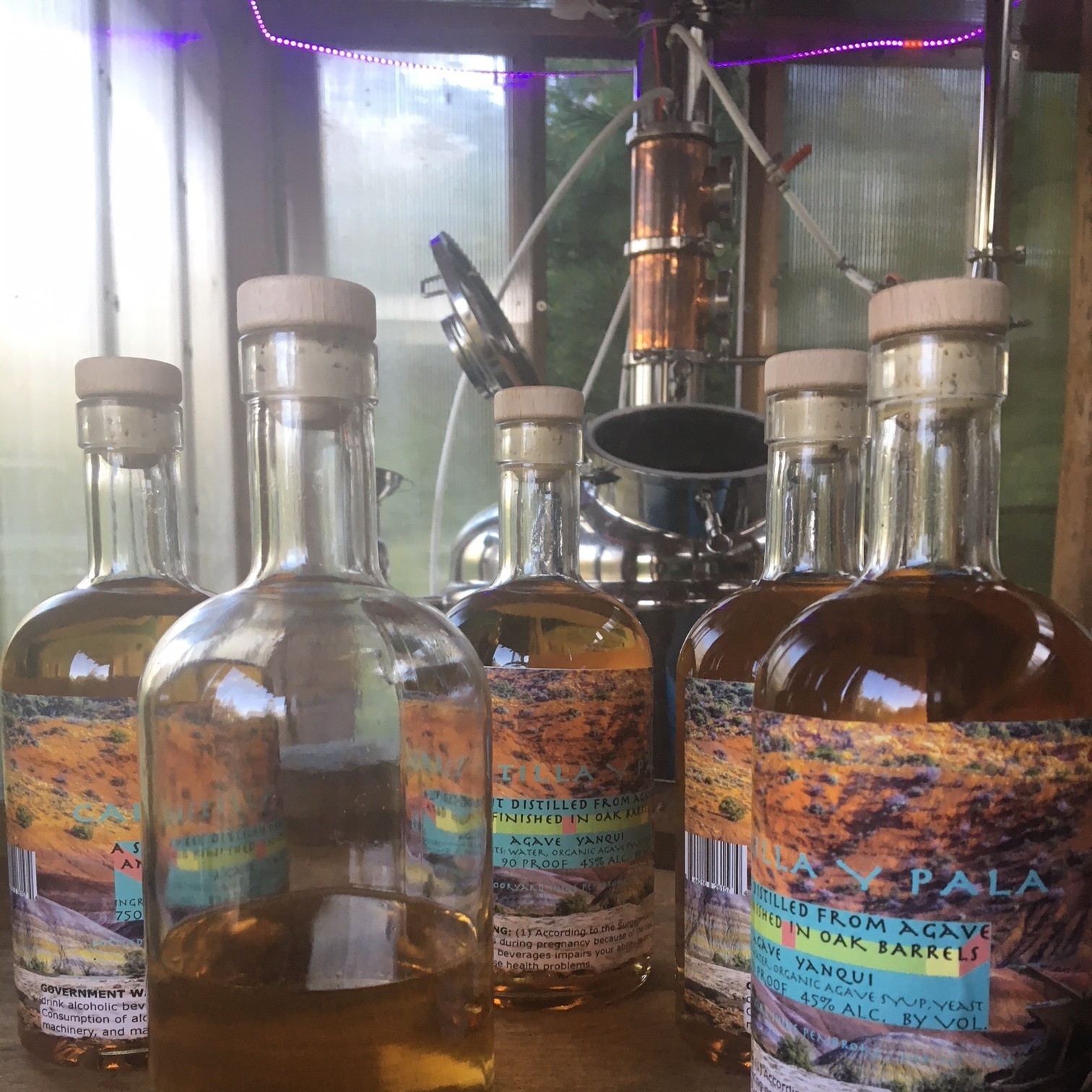 Shantytown Rum Harvest Music Fest Sept 18night Sept 19 Facebook
