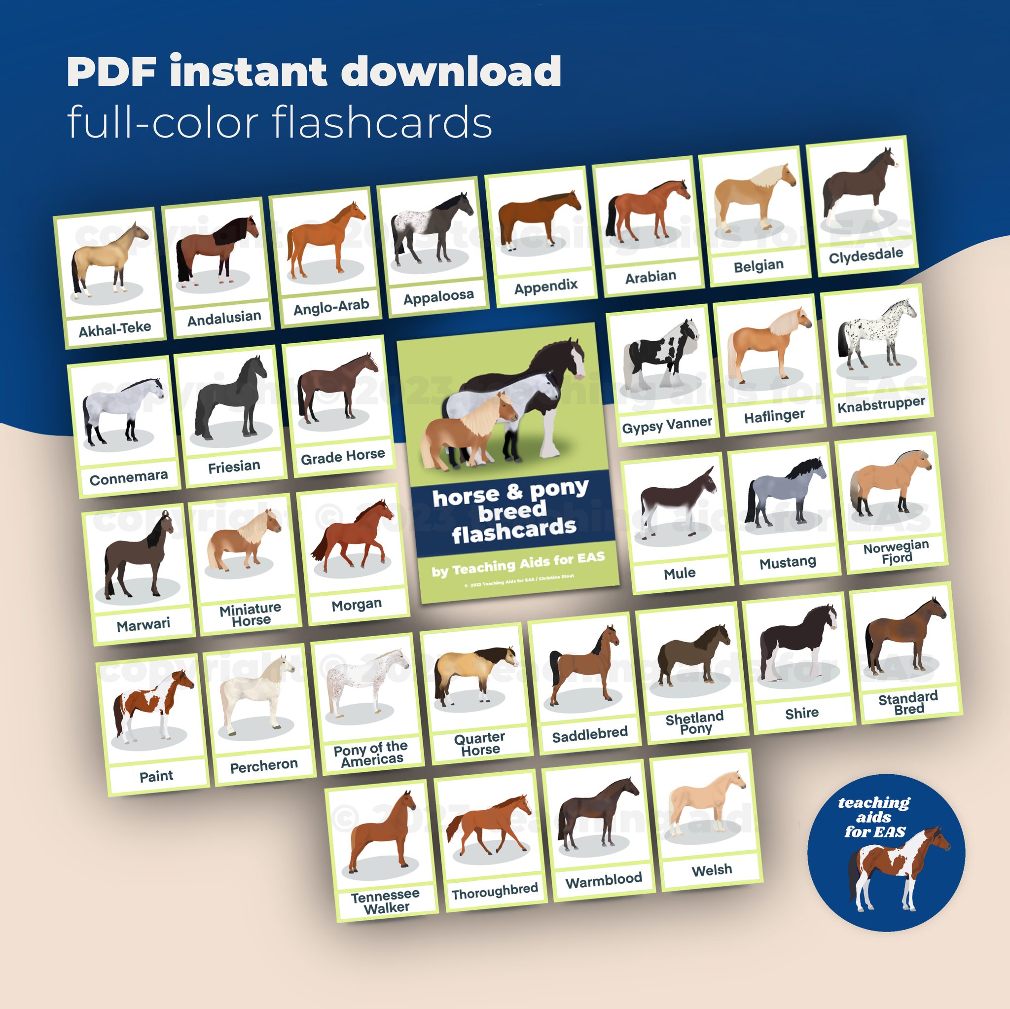 Teaching - 🌟 Horse & Pony Breed Flashcards 🌟 This full-color flashcard ...