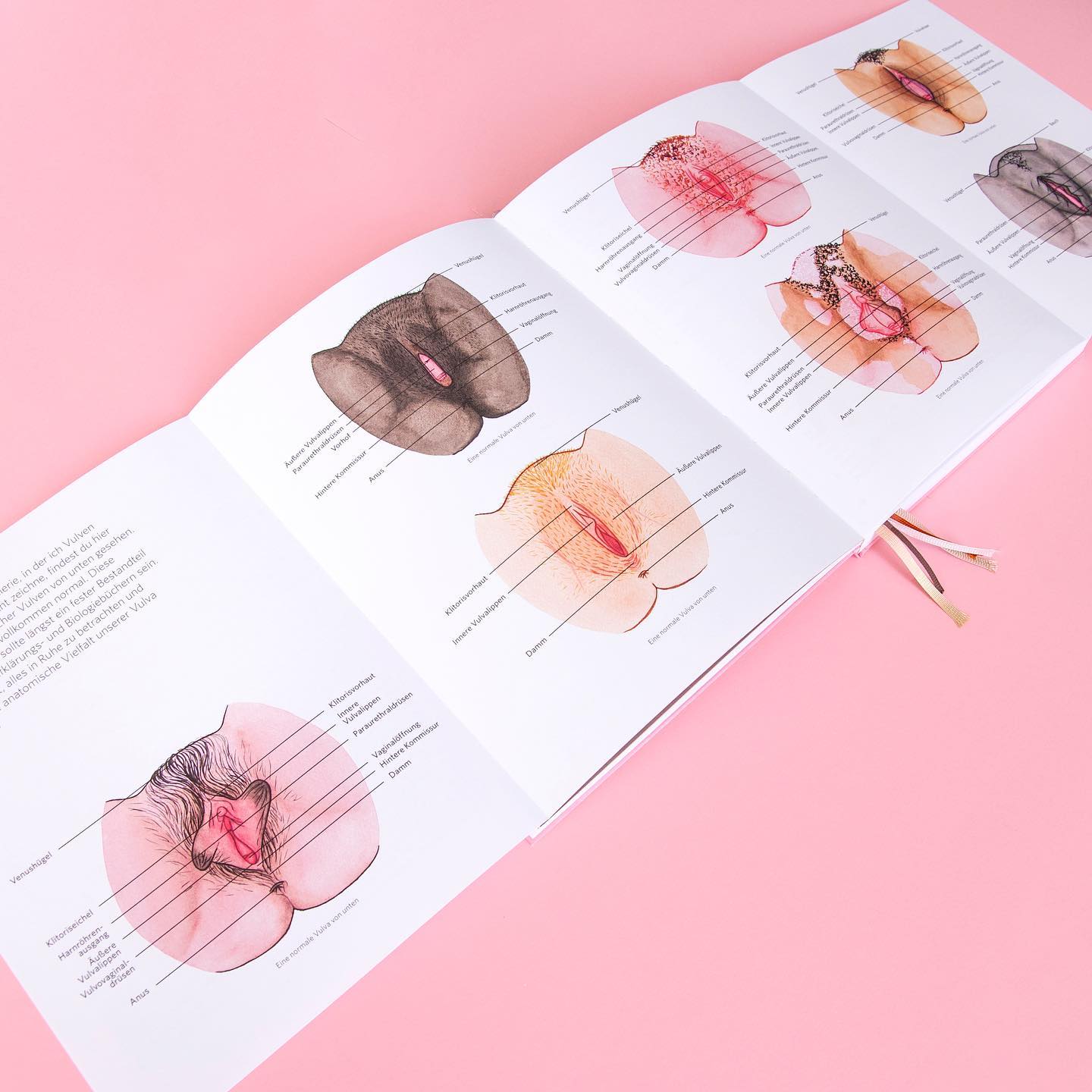 The Vulva Gallery Labia Come In Many Different Shapes And Sizes They 0804
