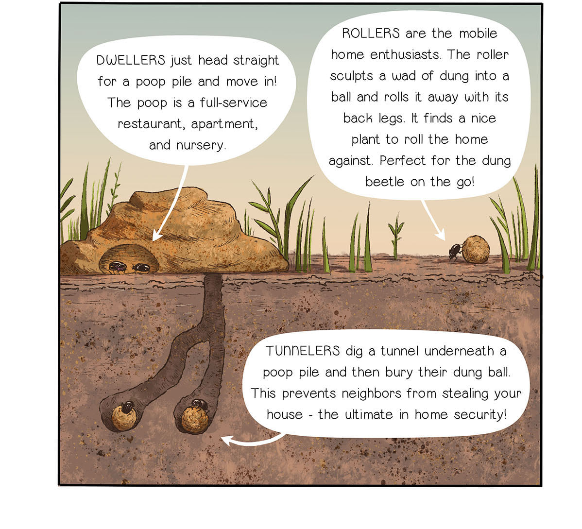 When it comes to the dung beetles, it does not matter how shitty their ...
