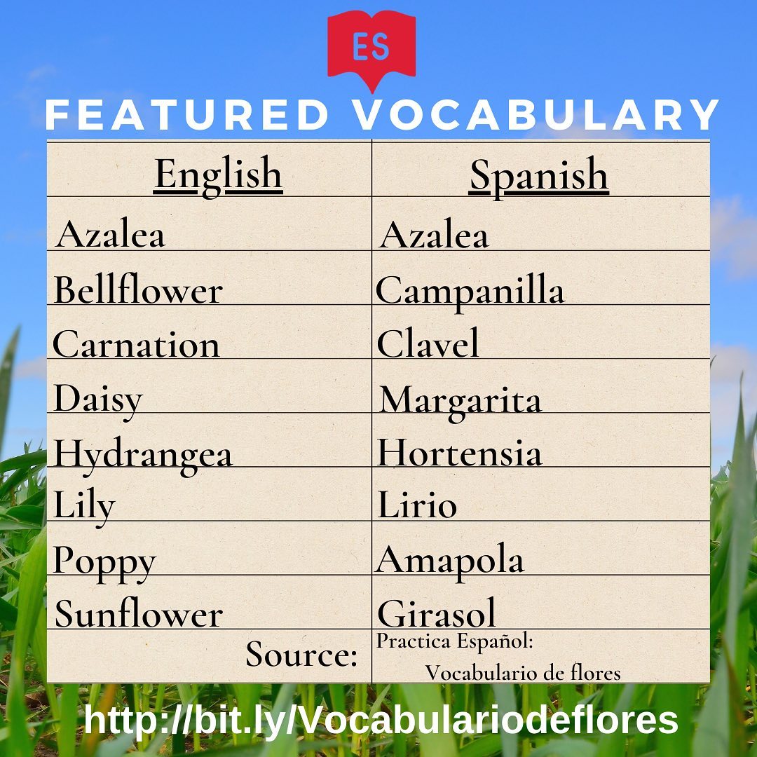 Here is a sample of the vocabulary from... - Spanish by Topic