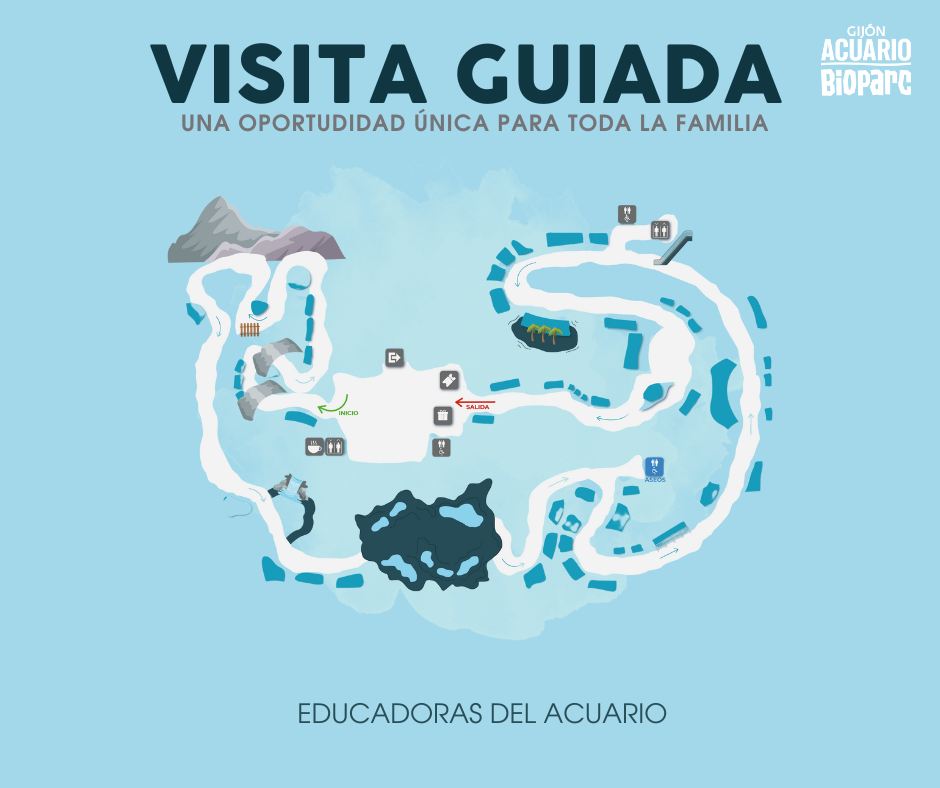 Acuario - ¡ÚLTIMAS PLAZAS! Descubre las curiosidades del mundo marino ...