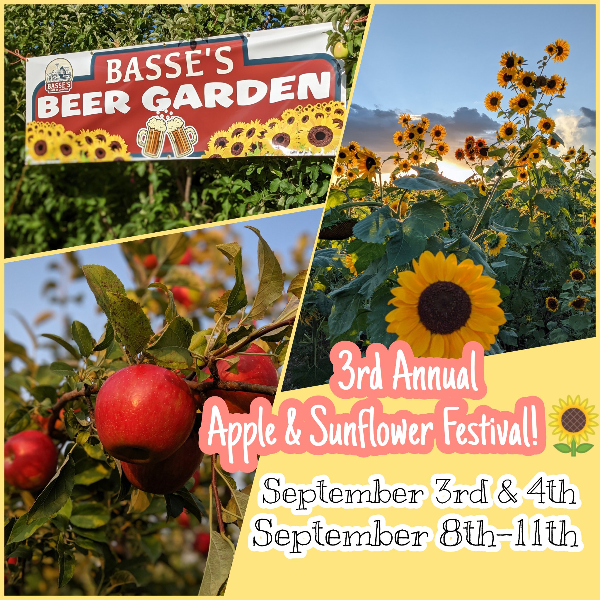 Basse's Farms - Our 3rd annual Apple & Sunflower Fest is coming soon! 🍎 ...