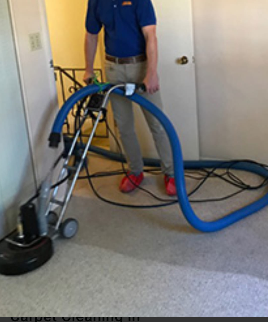Interesting Info About Carpet Cleaning Bloomington Ilfeed