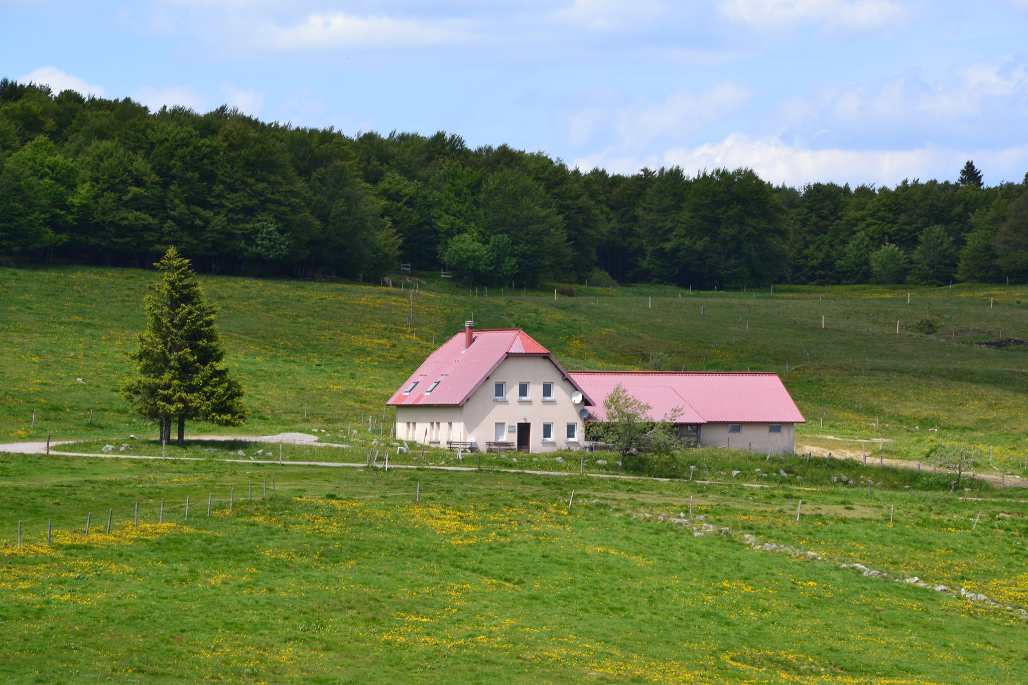 Bienvenue à la ferme -... - Bienvenue à la ferme - Vosges