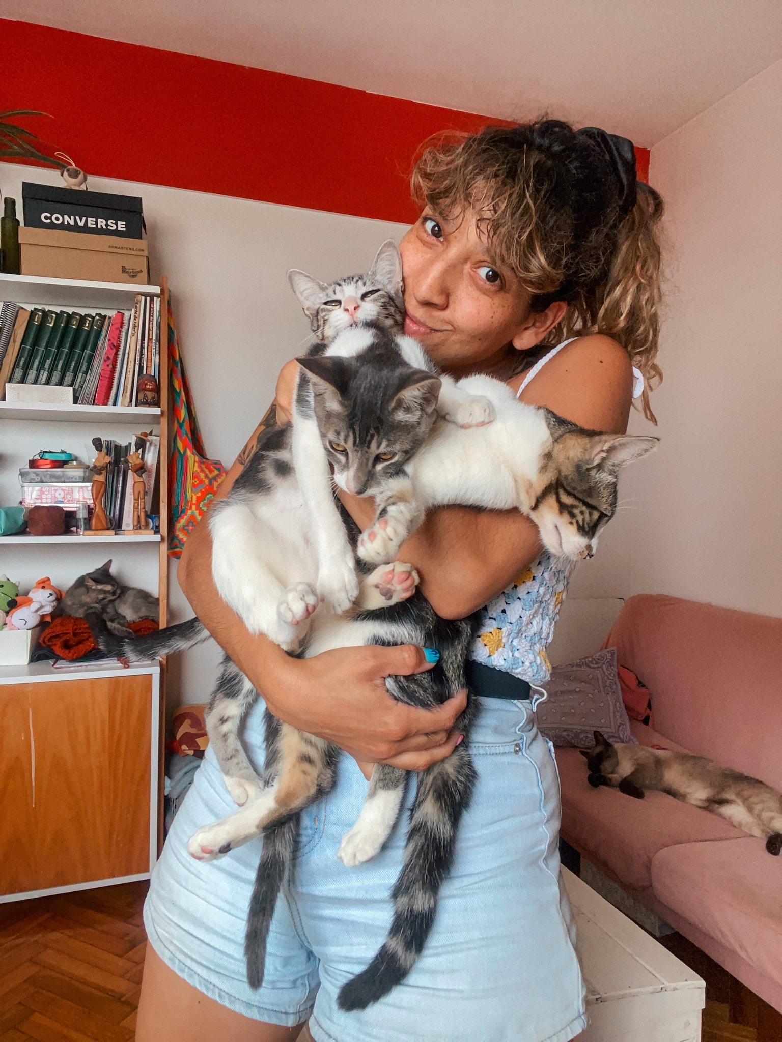 El Otro Día Salí A Tomar Algo Con Un Amigo Y Había Dos Gatitos