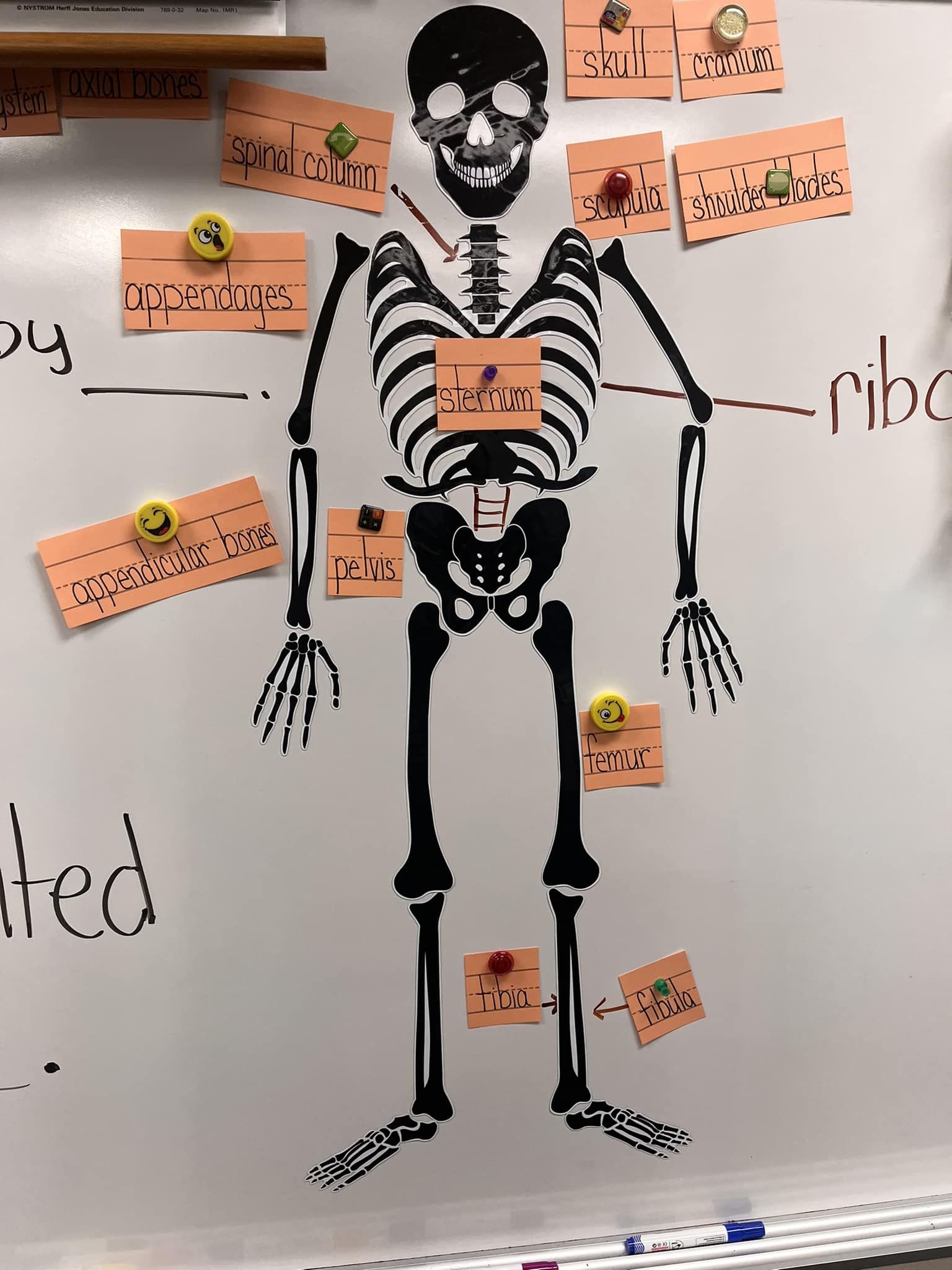 Ms. Moore’s 3rd graders explored... - Silver City Elementary