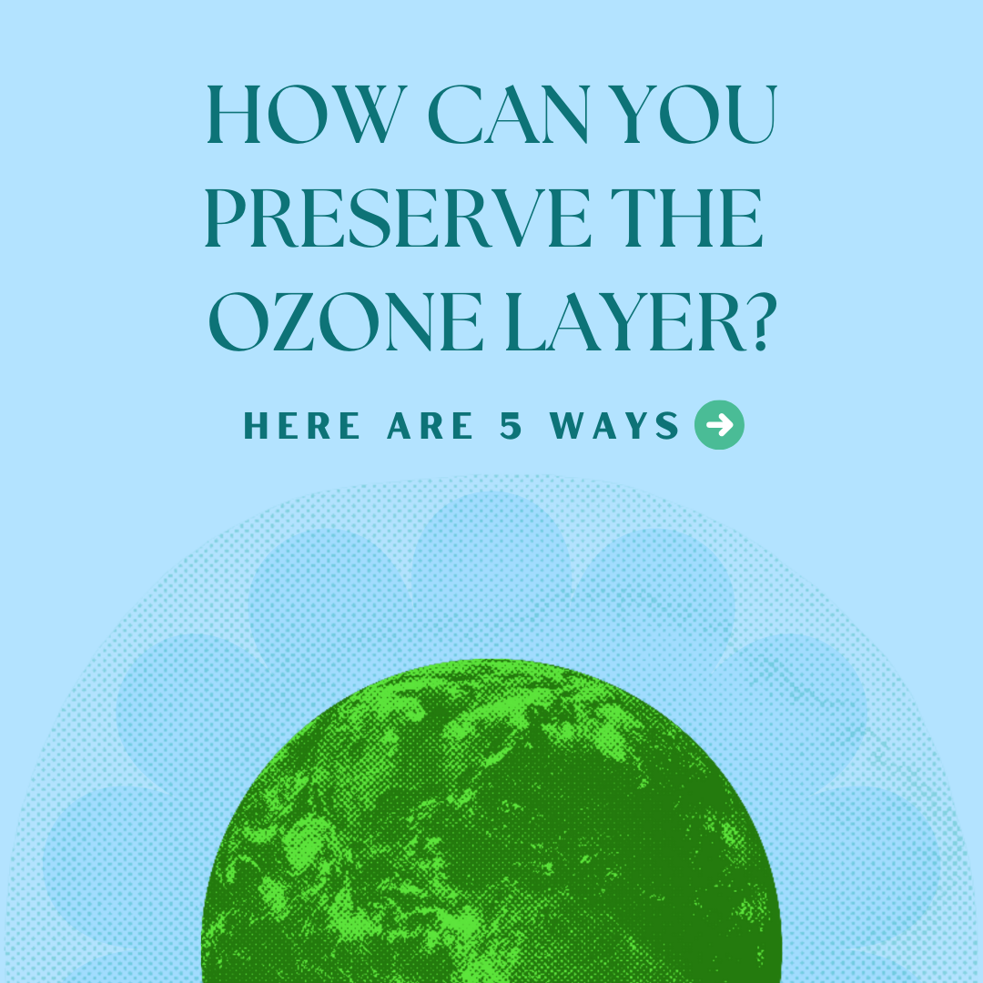 Canva Lets Talk About The Ozone Layer And Its Importance