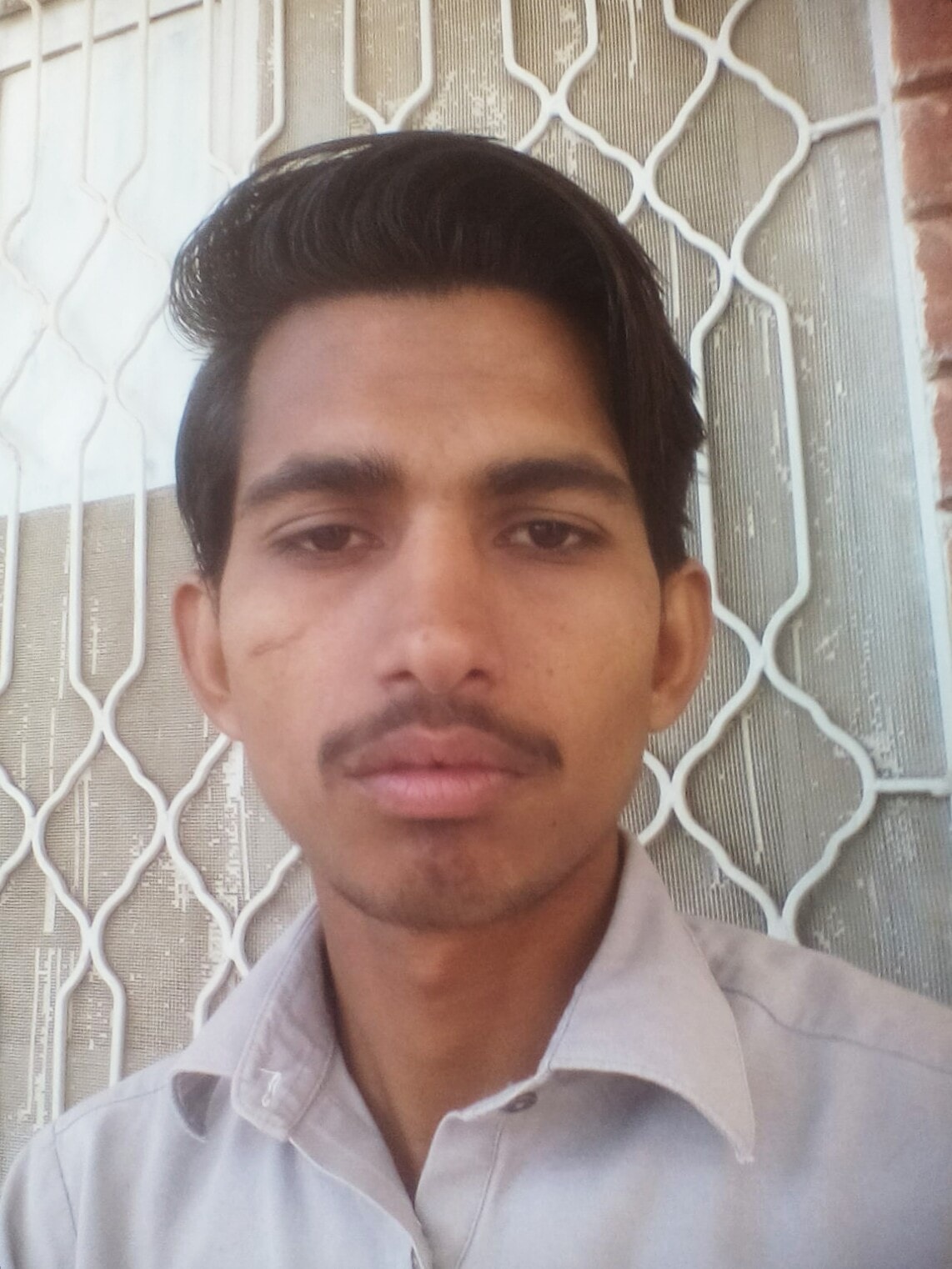 Just Fun 2554