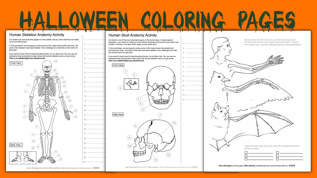 Dr. Biology - For some sugar-free Halloween treats try our...