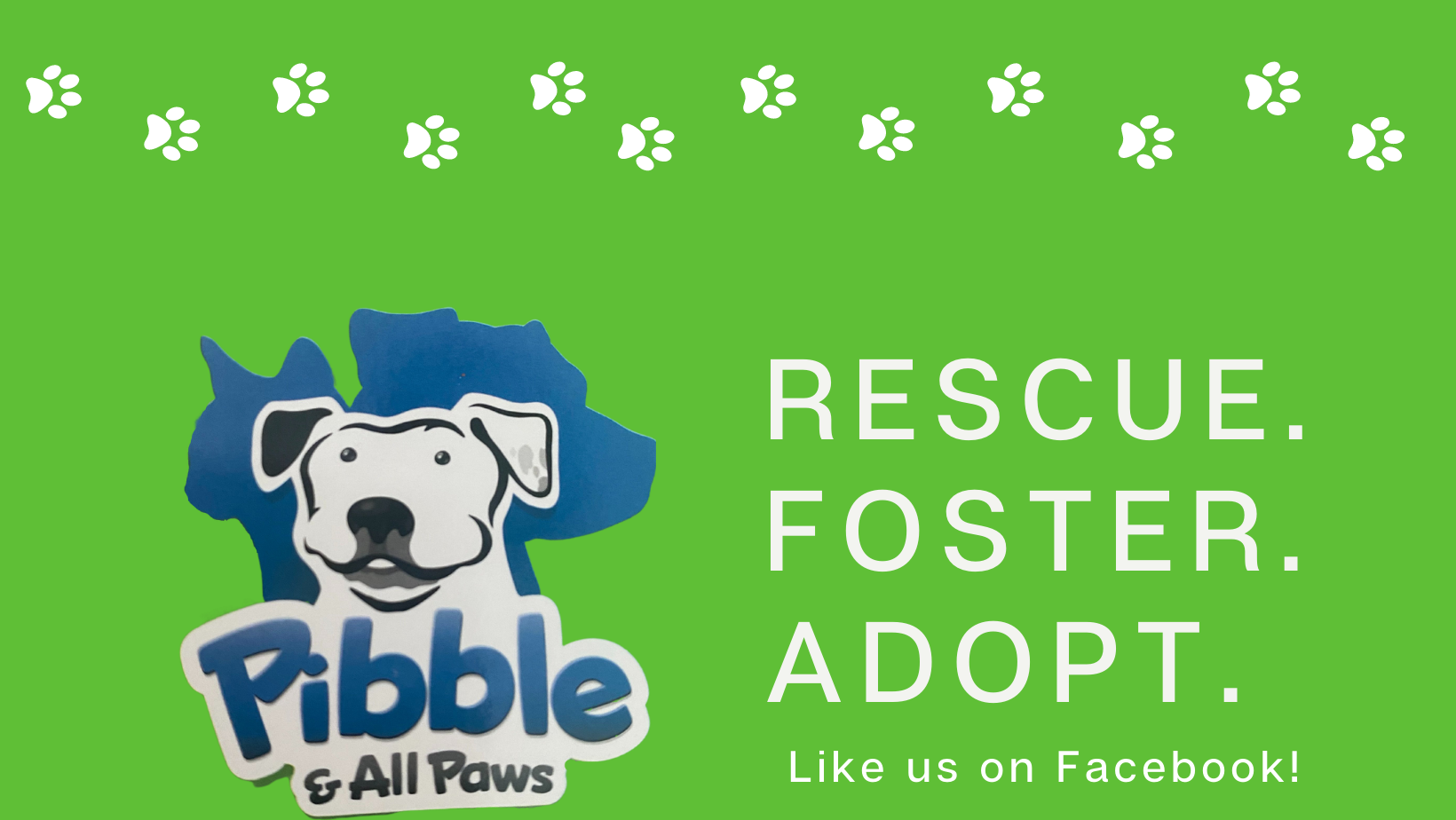 Pibble And All Paws Rescue Lacey Wa