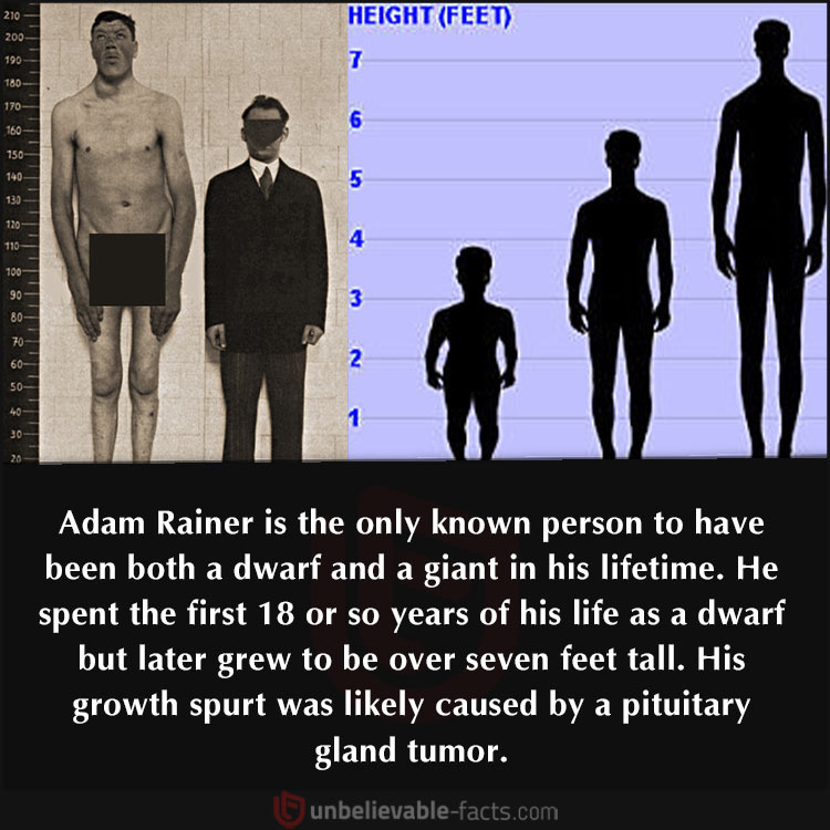 Unbelievable Facts Added A New Photo Unbelievable Facts