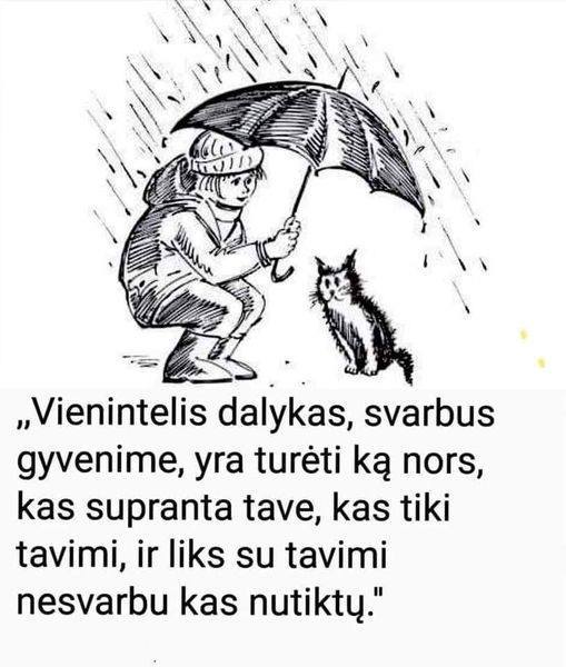 Auksinės Mintys ️ Facebook
