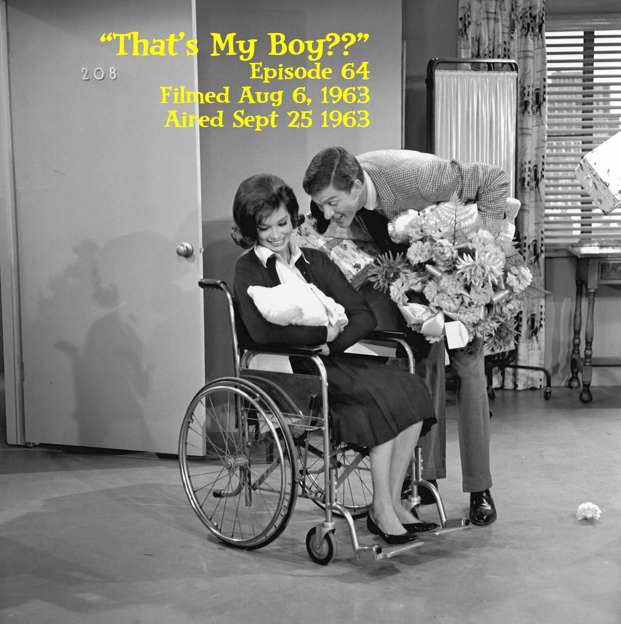 On This Date The Official Dick Van Dyke Show Book 1910