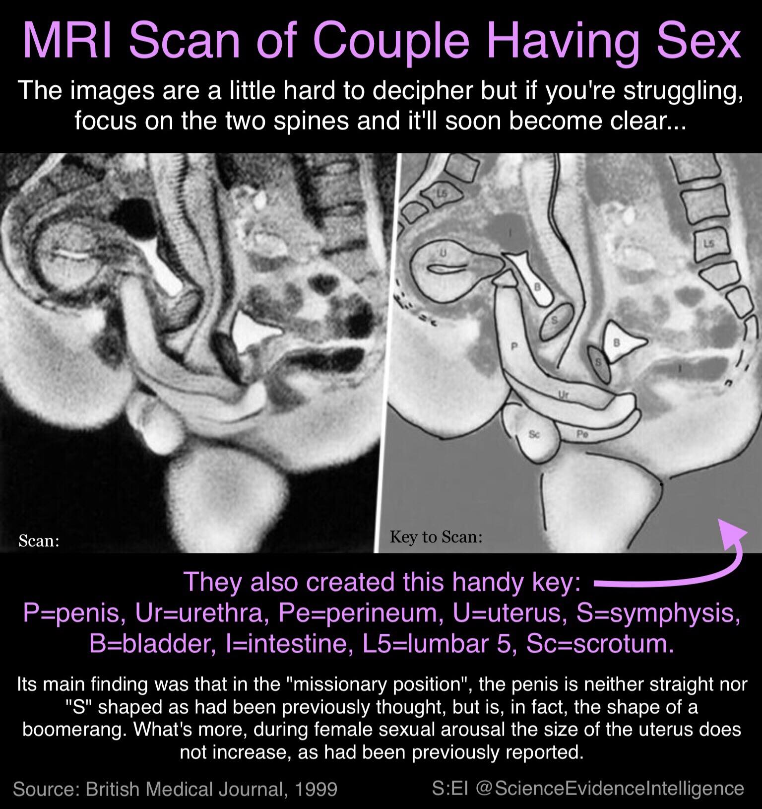 Couples Have Sex In Science Evidence Is Intelligence