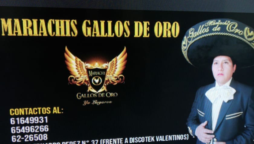 Mariachi Gallos de Oro Potosí