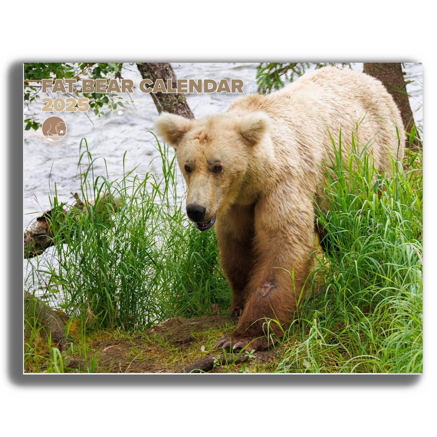 fatbearweek - 🐻 Kick Off 2025 with the Katmai Conservancy Fat Bear ...