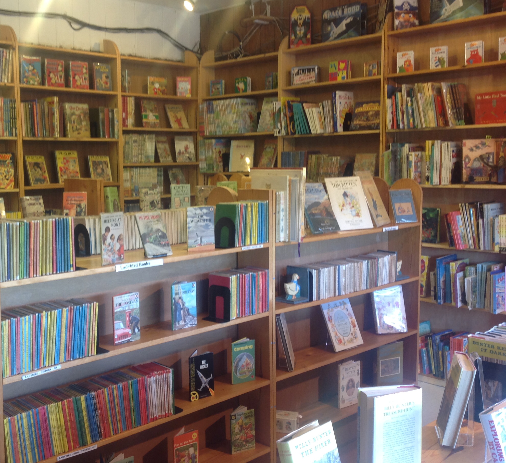 Stella And Roses Books Home