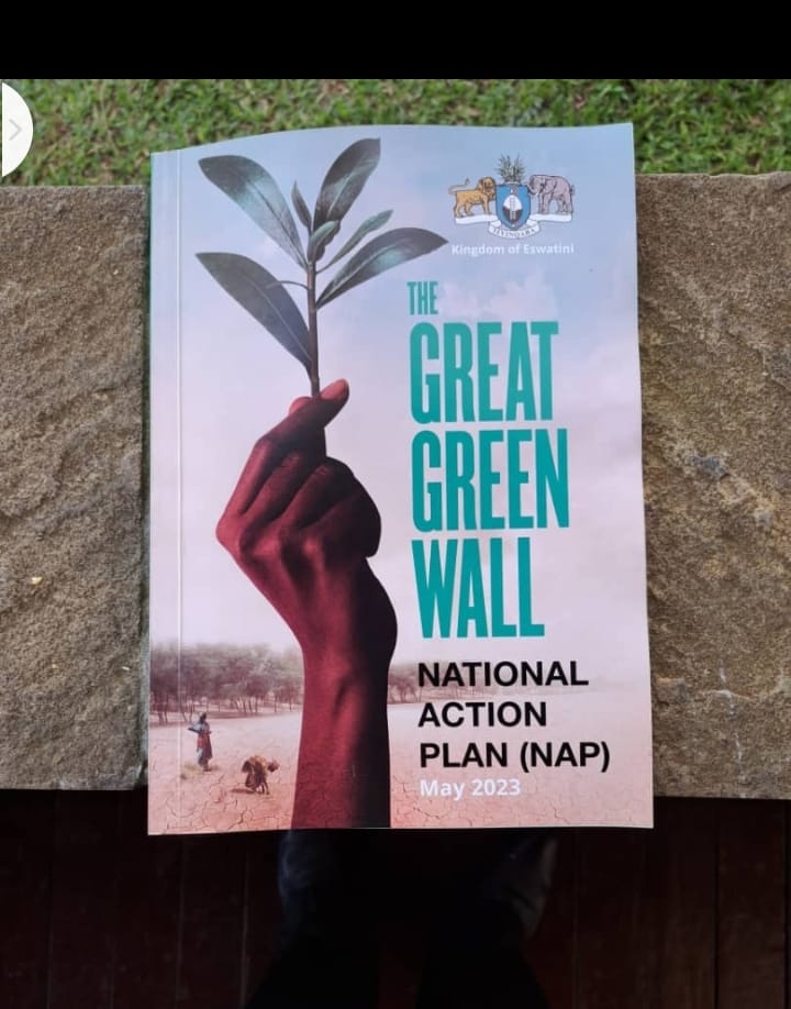 Green-Up - Building an unbroken chain of human cooperation. On Africa ...