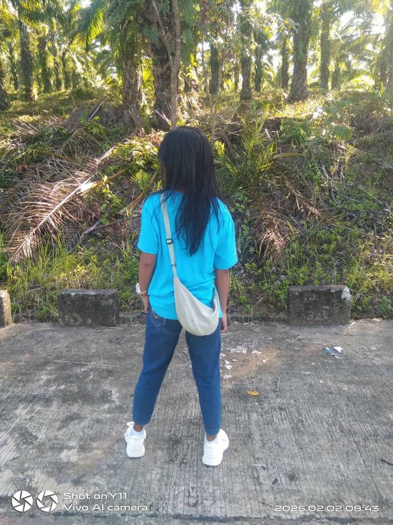 Free Edit Ph Pa Edit Po Please Sana Po Yung Magandang Back Ground 3914