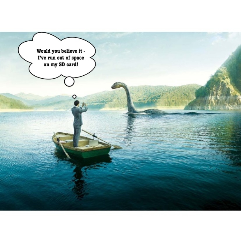 Lake Monsters: Where are they now ? | An interview with Adrian Shine ...