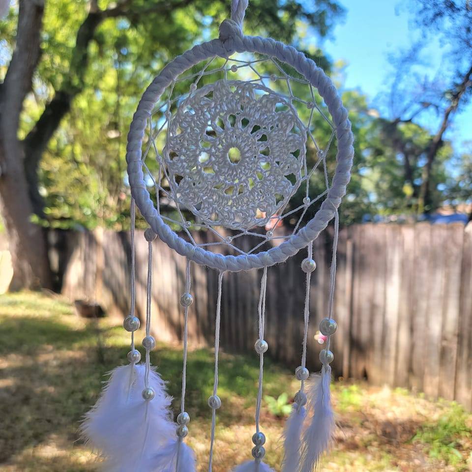 Chasing Dreams Dream Catchers