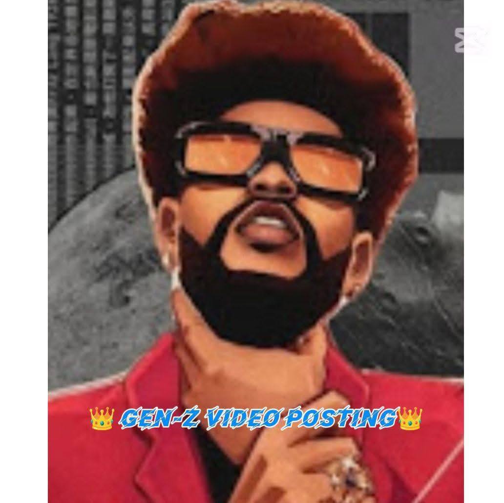 ২৯ পৃষ্ঠা