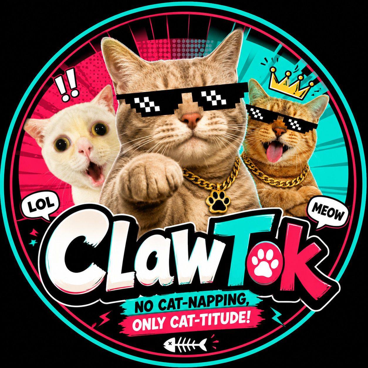 Have you ever tried this? #catpov #catmemes #cats #funnycats #catlover ...