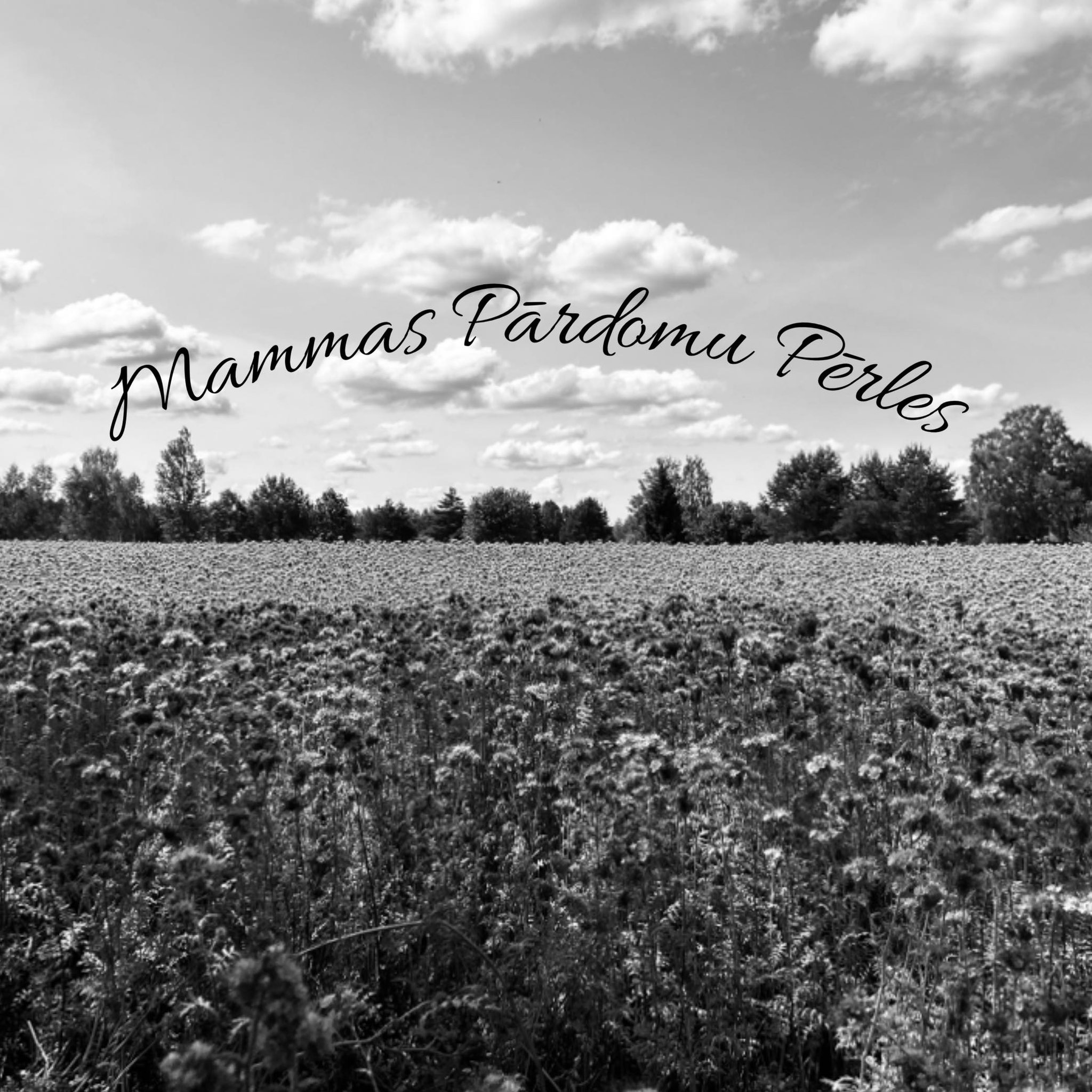 Mammas Pārdomu Pērles
