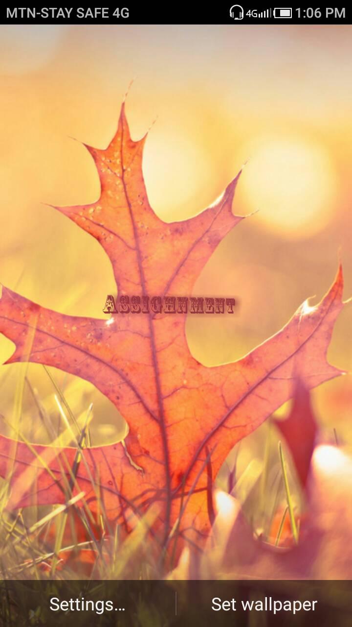 Assignment 1696