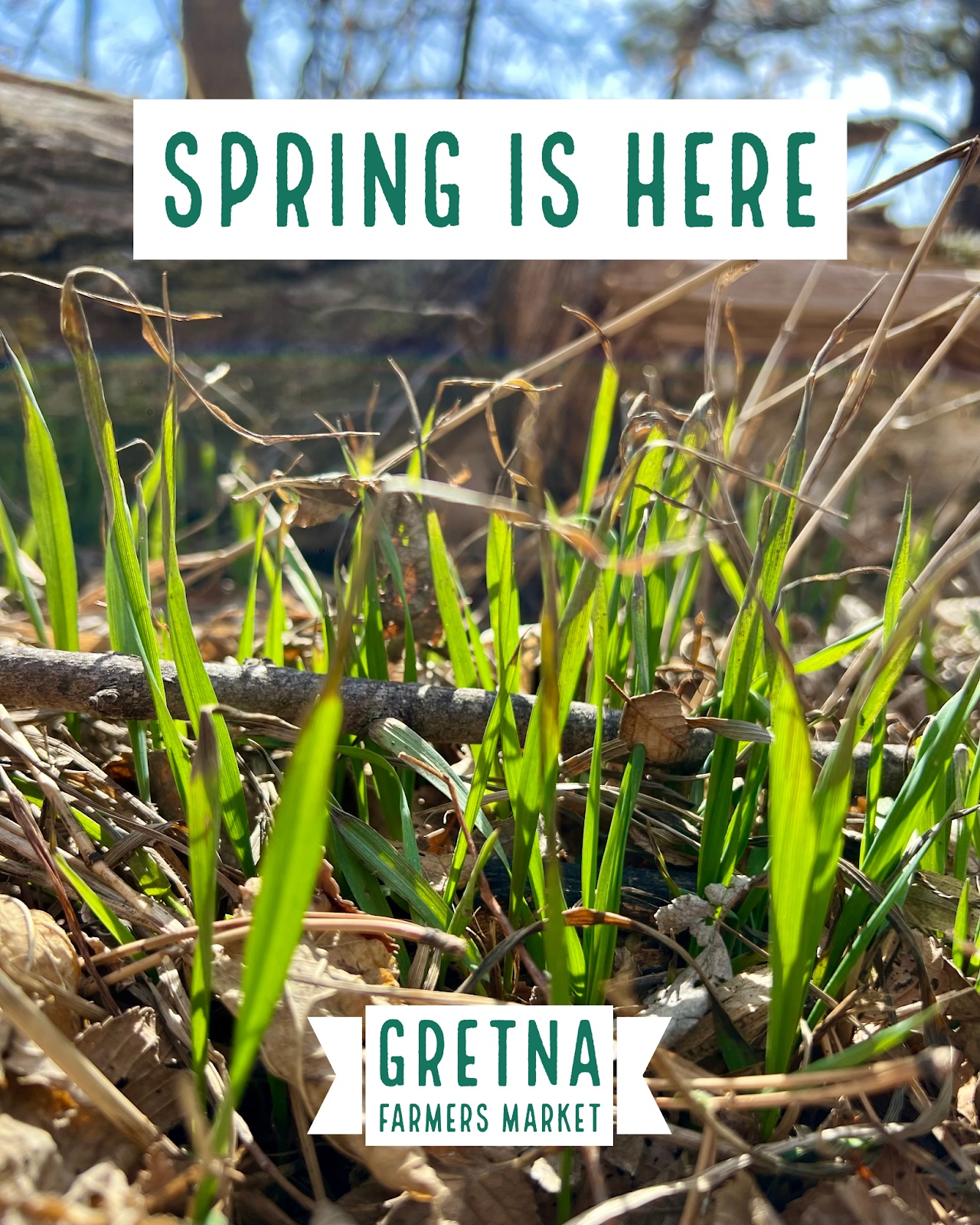 Gretna Nebraska Grass Seeding 1
