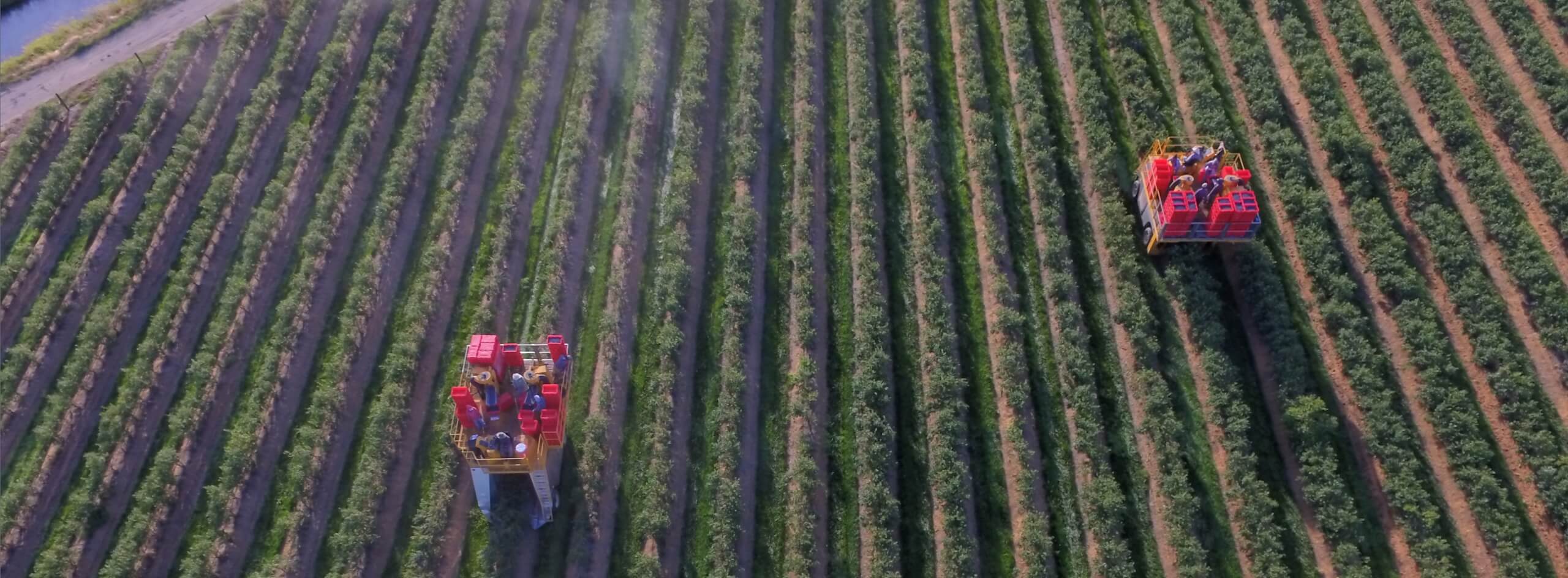 Columbia Fruit, LLC | Woodland WA