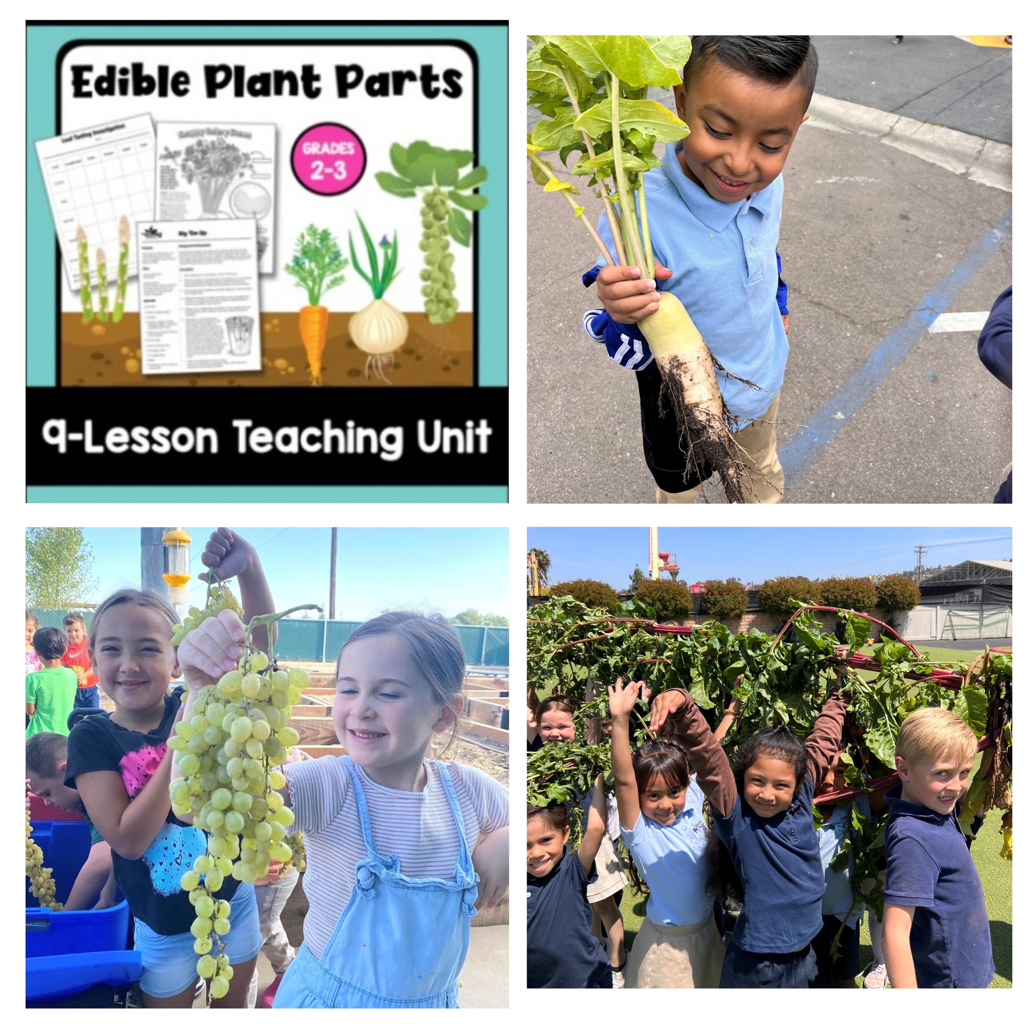 California - Resource Alert - Edible Plant Parts Unit Students learn ...