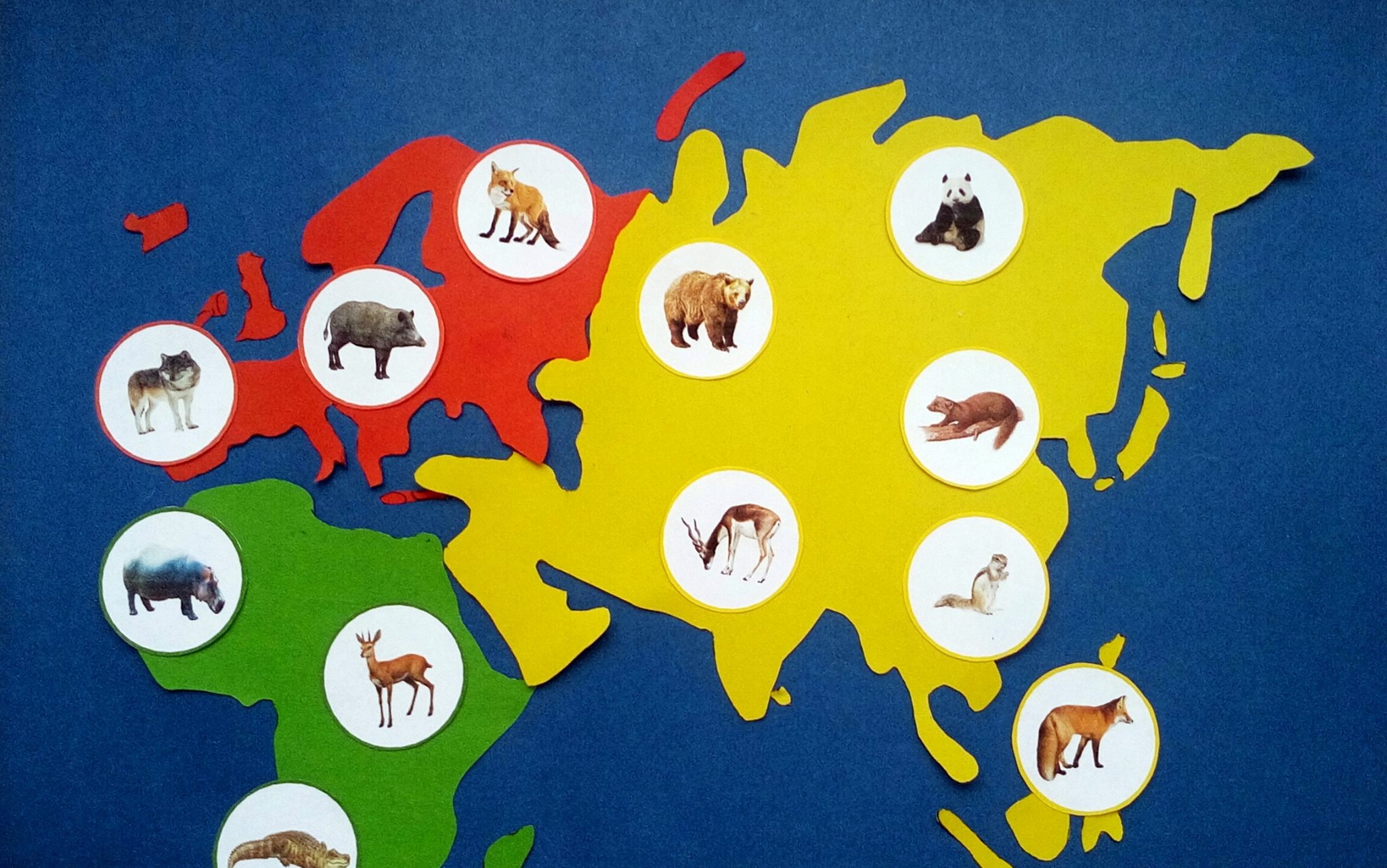 Animals of the... - I Believe in Montessori Education