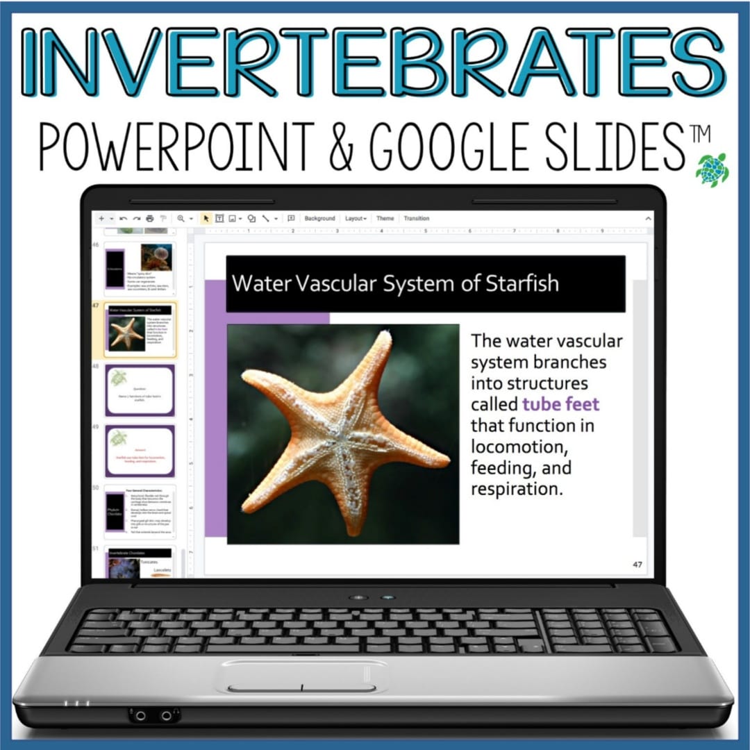 Science Island - Invertebrates PowerPoint and Notes! Over...