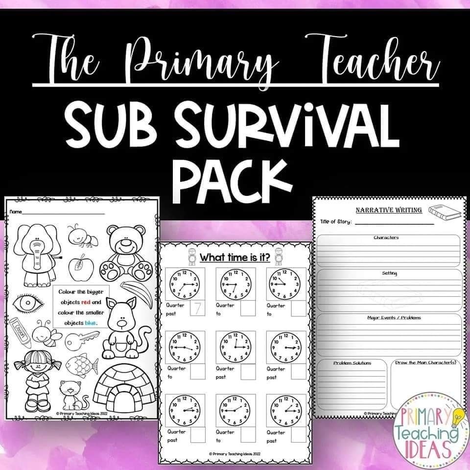 THE ULTIMATE SUBSTITUTE TEACHER... - Primary Teaching Ideas