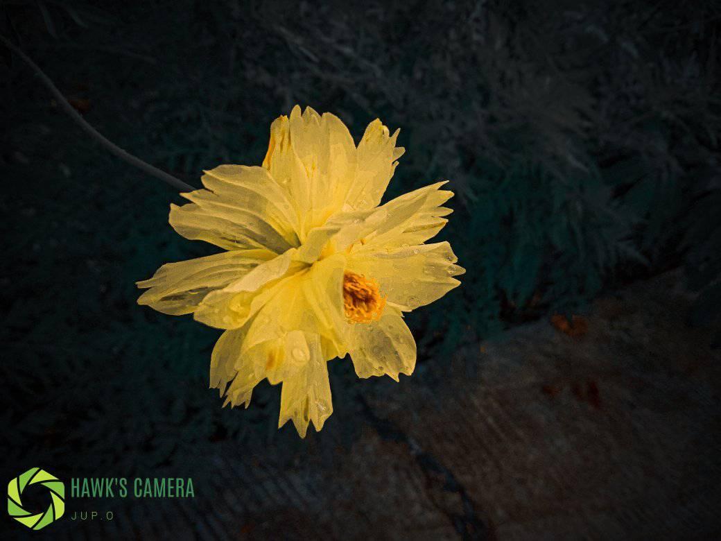 Flash Cam Flash Cam Added A New Photo