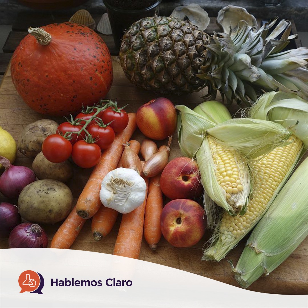 Alimentos - Nuestro país goza de una diversidad de climas que favorecen ...