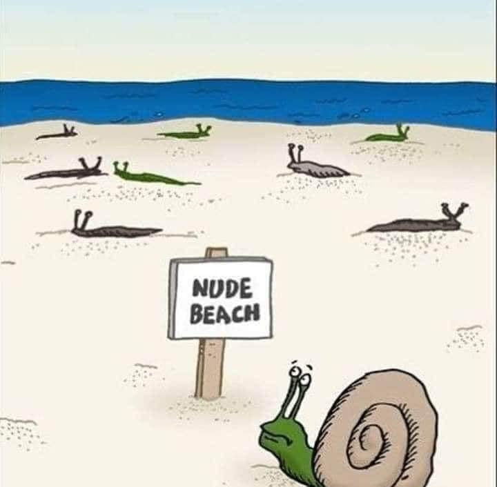 Old Would You Could You Go To A Nude Beach 🏖 Worldoceanday2023