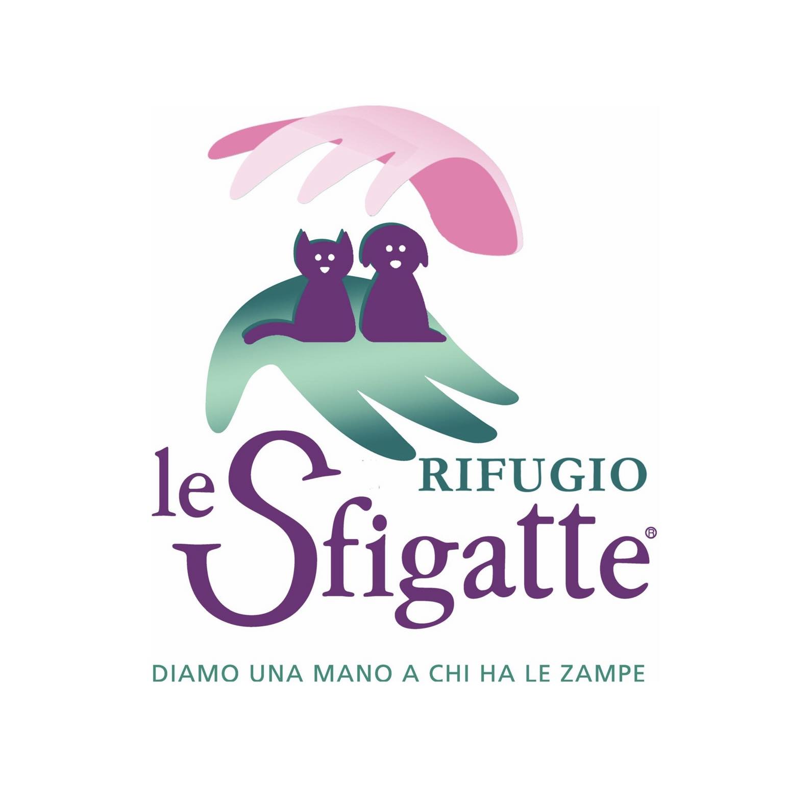 Valter E I Suoi Mici Un Amore Che Continua Una Promessa Mantenuta