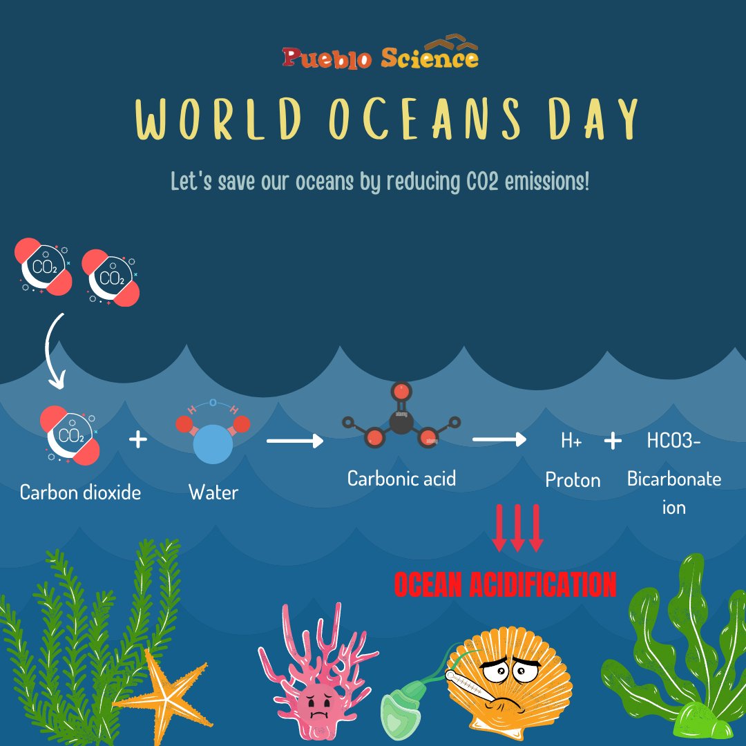 Pueblo - Did you know CO2 emissions hurt marine life by causing ocean ...