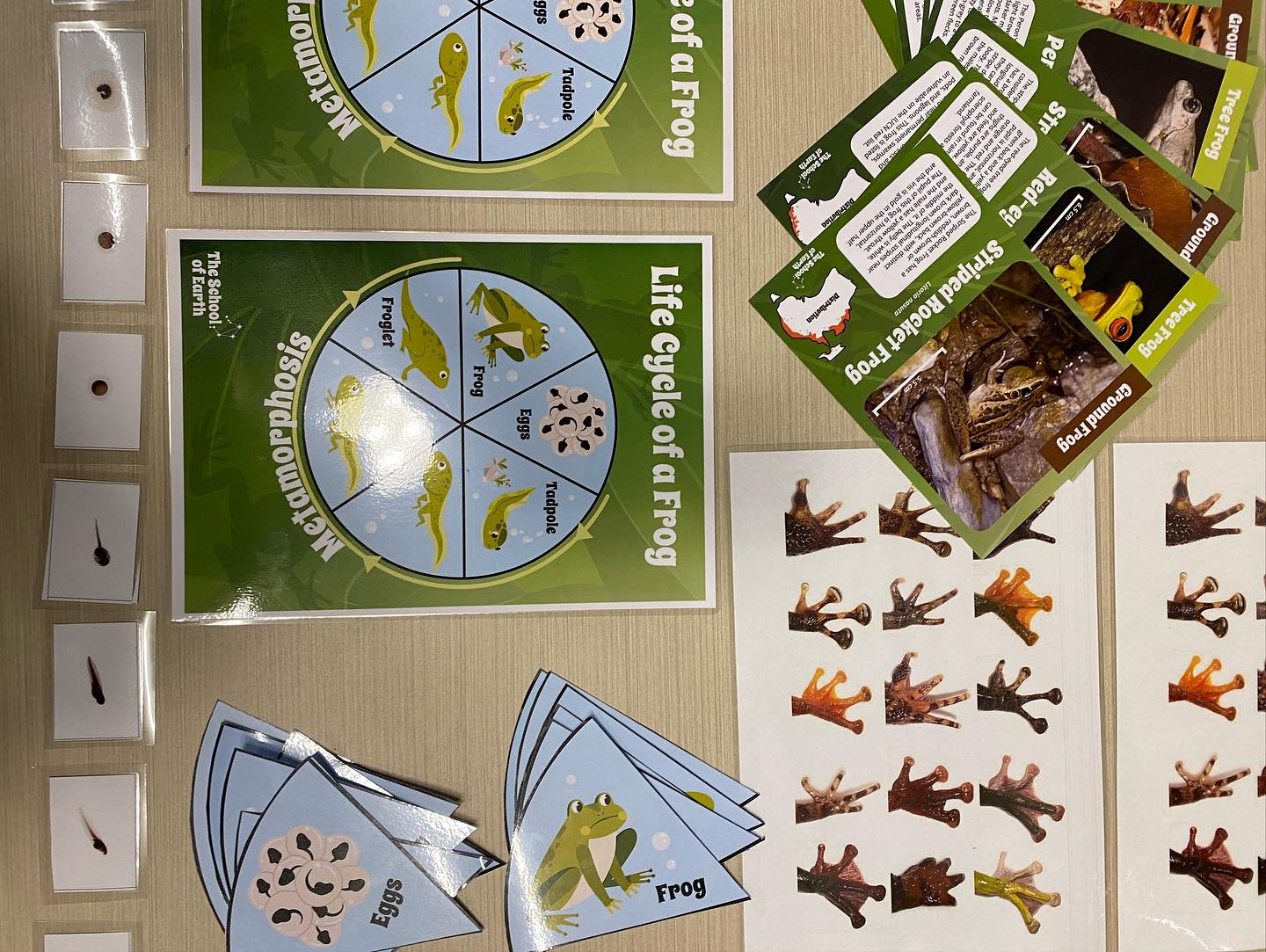The School of Earth Australia - There are lots of ways we can work ...