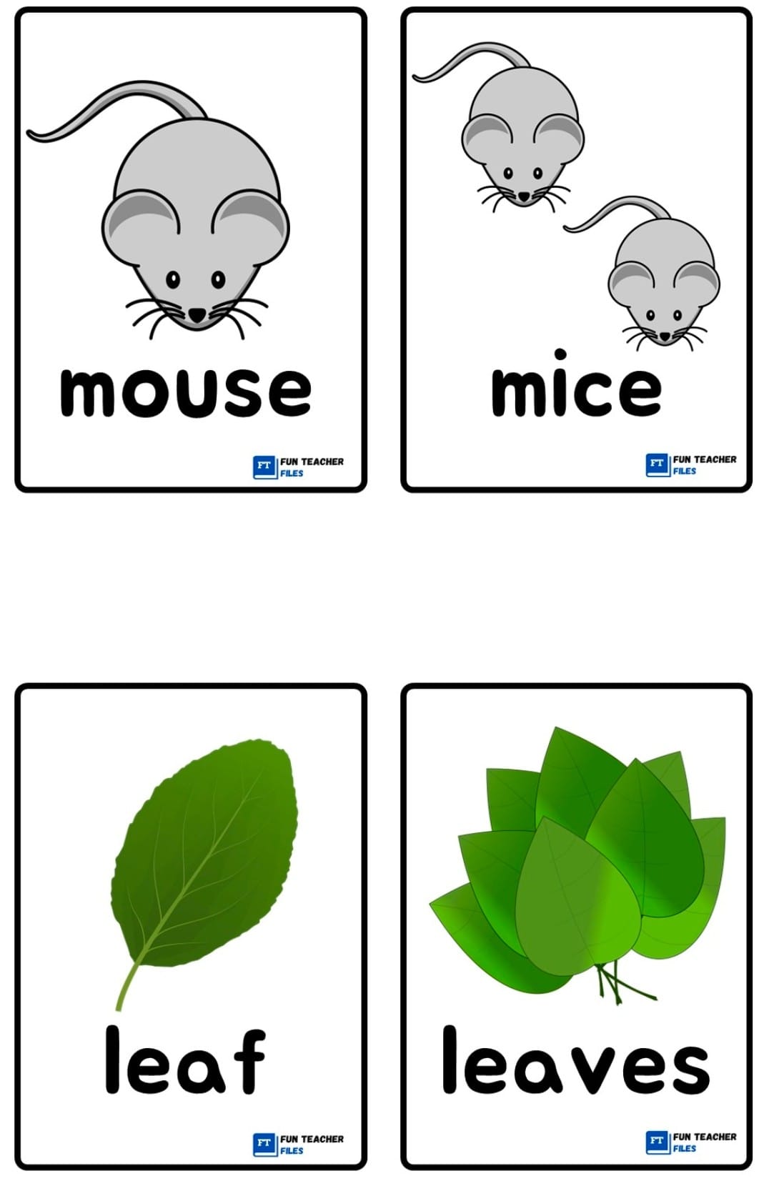 Irregular Plural Nouns Flashcards.... - Fun Teacher Files | Facebook