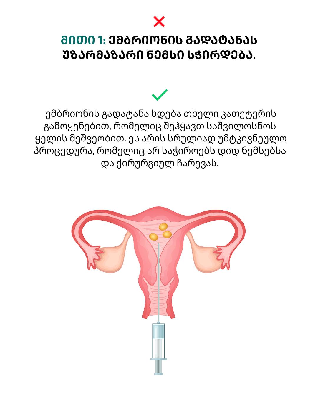 European Fertility Clinic Tbilisi