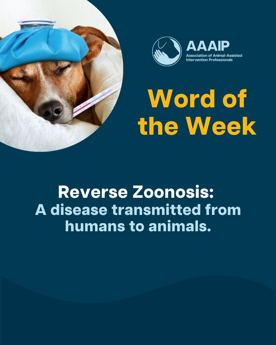 💬 AAI Word of the Week: Reverse Zoonosis 🦠 Reverse zoonosis is a ...