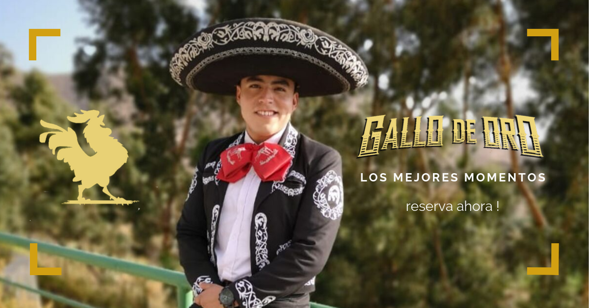 Mariachi de Arequipa - El Gallo de Oro