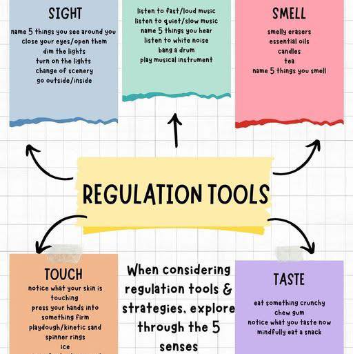 Executive Functioning Toolbox 5906