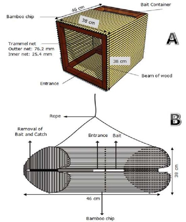 The Underwater The Baited Traps A Ayunan Dan B Tamba Used During The Trapping Experiments