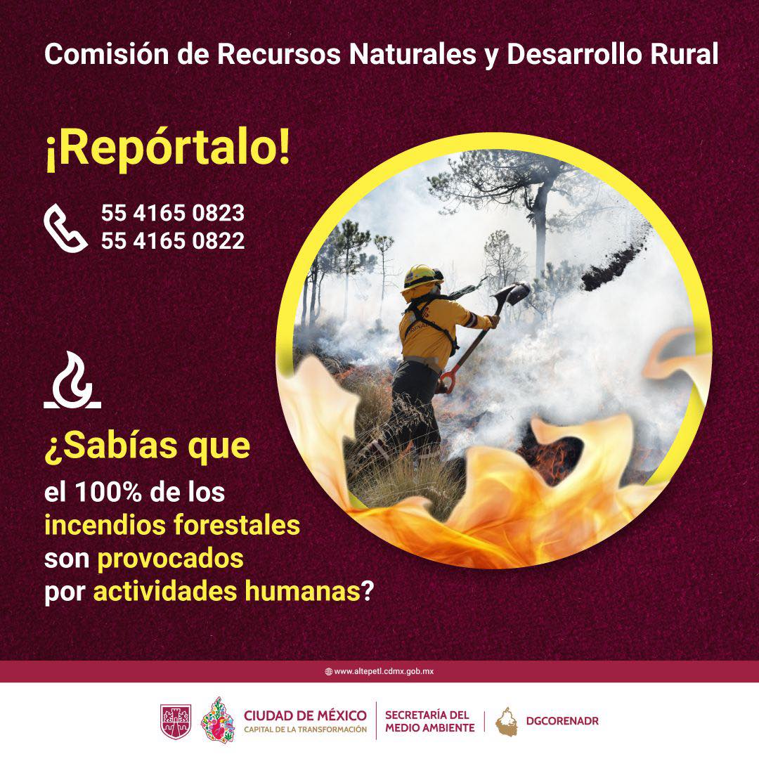 Corenadr El 100 De Los Incendios Forestales En La Cdmx Son Causados 7147