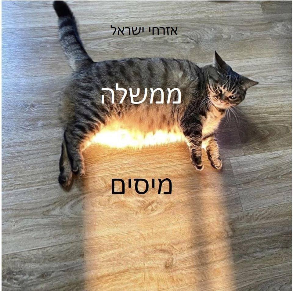 דרך בת הים על הקורקינט Liberty Explained 2590